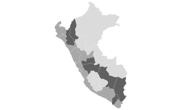 FASCINATE - PROCAMPO